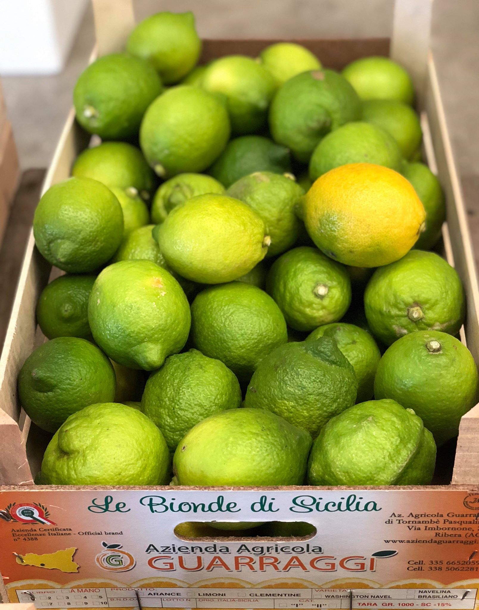 Limones De Sicilia - Cod. 1980